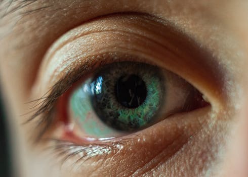 How many muscles does each human eye have? - Triviatry
