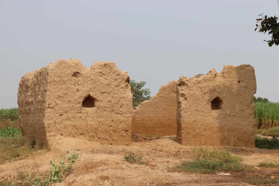 Top 10 Historical Predictions That Came True - Triviatry