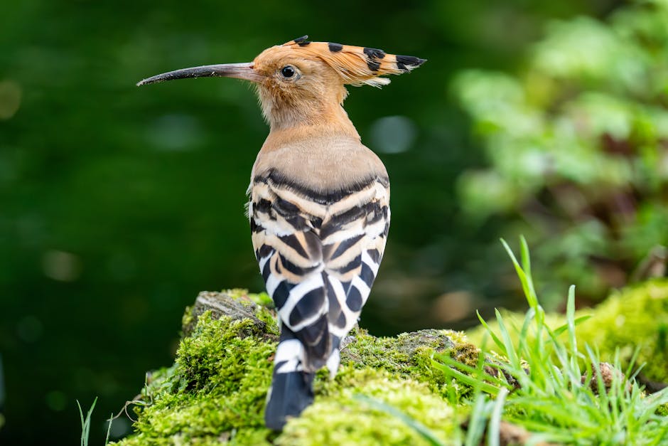 Did You Know? 10 Secrets Behind Award Shows - Triviatry