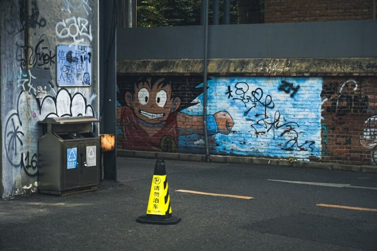 Did You Know? 15 Facts About Street Art and Graffiti - Triviatry